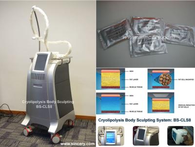 중국 기계를 체중을 줄이는 Cryolipolysis 뚱뚱한 동결 판매용