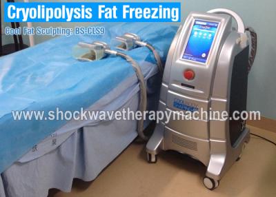 중국 기계, 뚱뚱한 불타는 장비 비 체중을 줄이는 체중 감소 Cryolipolysis 몸 - 외과 지방 흡입 수술을 판매용