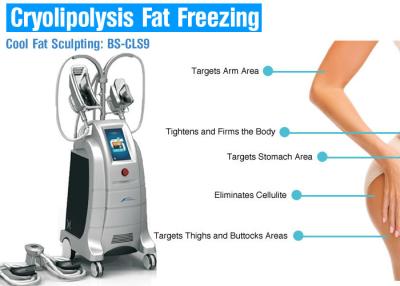 중국 몸 체중을 줄이기를 위한 동결 Cryolipolysis 뚱뚱한 처리 판매용