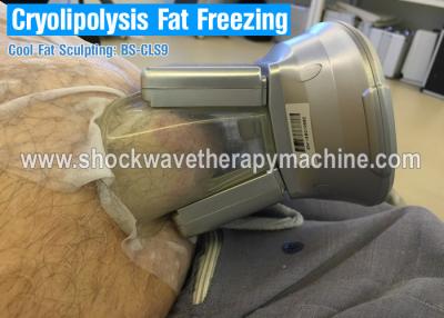 중국 몸 체중을 줄이기를 위한 동결 Cryolipolysis 뚱뚱한 처리 판매용