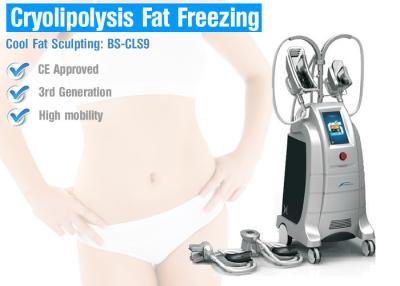 Chine corps 4D amincissant la bordure de congélation de la graisse 360 de machine refroidissant 4 poignées Cryolipolysis à vendre