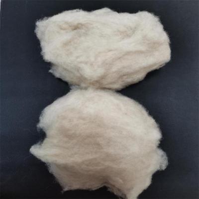 China Scoured Dehaired Wool Sheep Wool Cashmere for sale