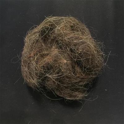 China Washed Good Quality Clean Curled Horse Hair Waste for Mattress for sale