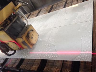 Cina Le piastrelle per pavimento bianche del quarzo dello specchio del carrello della doccia hanno costruito 3000mmx1400mm in vendita