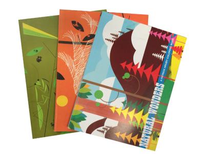 Cina Libro della pittura dei bambini di stampa offset di colore con la rilegatura perfetta in vendita