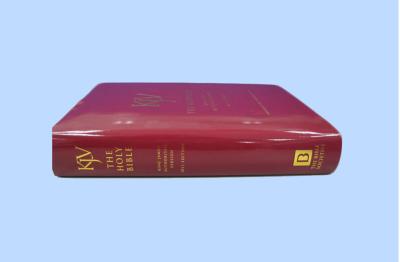Cina Varia stampa cattolica/cristiana della bibbia di versione con l'arte rivestita interna in vendita