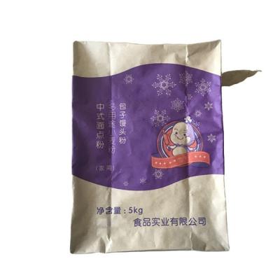 중국 반죽된 밸브 다중봉지 포장 봉지 환경 보호를 패키징하는 건재 판매용