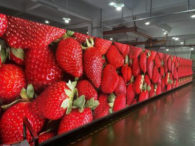 中国 導かれたchipstar最もよい品質プログラムはP4屋内512x512背景のレンタル導かれた表示画面をmulinsen 販売のため