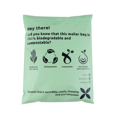 China 2025 NEW Compostable Shock-Absorbent Bubble Lined Poly Bags Biodegradable Mailing Bags for Sustainable for E-commerce for sale