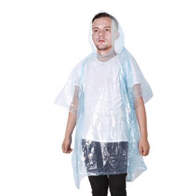 Cina 50x80
