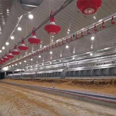 Cina Una catena Pan Feeding System automatico da 90 gradi in vendita