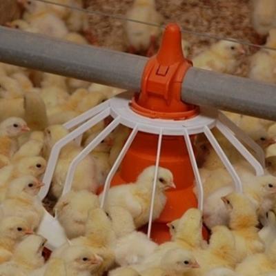 中国 閉鎖した家の鶏20Tの養鶏場装置 販売のため