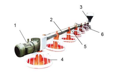 Cina Sistema d'alimentazione della griglia automatica del pollame per la Camera di pollo del pavimento in vendita