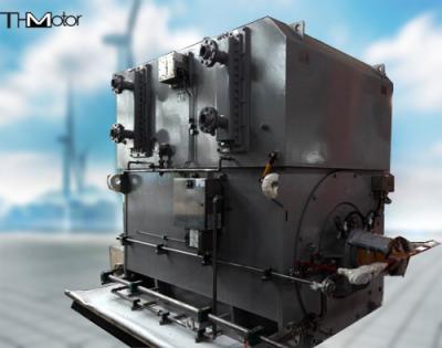 중국 T2 4000KW 돌풍 송풍기 제강소 큰 동기 전동기 300r/Min IEC GB 판매용