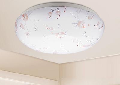 Cina Riscaldi acrilico bianco bianco/fresco LED messo diametro della plafoniera 1800LM 21W 35cm in vendita