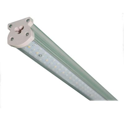 Cina luci progressive di verdure 2.9μmol/J di 36W 660nm LED per la fioritura vegetativa in vendita