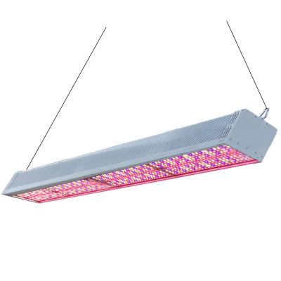 Cina Spettro completo supplementare UV delle luci progressive IP65 di Lm301b LED per le piante in vendita