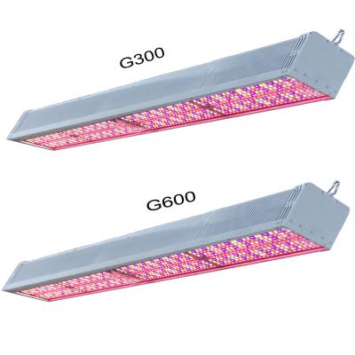 Cina Spettro UV Lm301b 3.0μmol/J IP65 della luce progressiva supplementare della serra in vendita