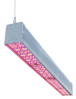 Cina Luce supplementare UV della lampadina Lm301b 660nm della luce progressiva di CA 100V per le piante d'appartamento in vendita