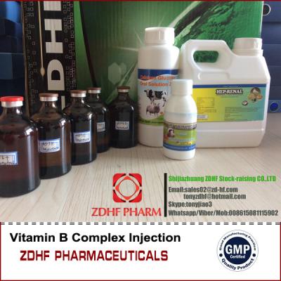China Veterinary Poultry Medicine Vitamin B Complex Injection for sale