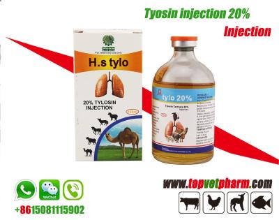 China Veterinary Livestock Cattle Camel Tylosin 20% Injection 100ml for sale