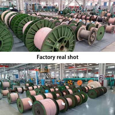 中国 石油探査用単核のポンプ孔孔ケーブル ログリングケーブル 販売のため