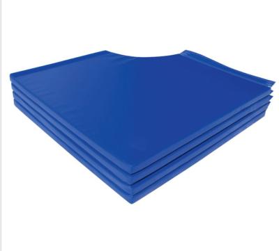 Chine Gymnase flexible de tapis d'accident de pliage de Polyfoam d'entraîneurs de pommeau de gymnastique pour des enfants à vendre