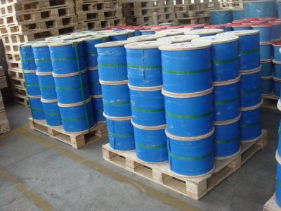 Cina 6mm cavo metallico dell'acciaio inossidabile 304 1x19 per industria alimentare, ad alta resistenza in vendita