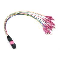 Quality 12 Fibers MPO Fanout Cable OM4 50/125 10G Hytrel Jacket ROHS Compliant for sale