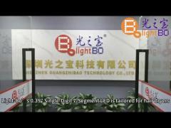 0.39“ Single-Digit 7 Segment LED Displays Common Anode White for Hair Dryer