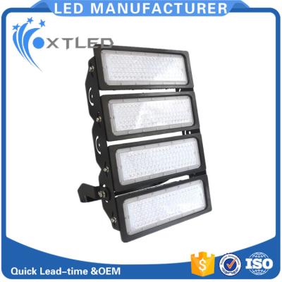 Cina sport di 800W LED che accende alto albero LED che accende la luce di inondazione del LED 5 anni di CE della garanzia in vendita