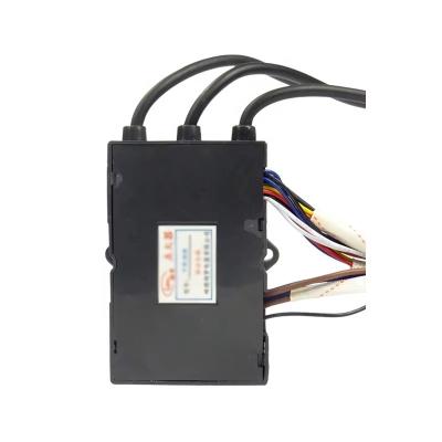 China High Power 220V Pulse Igniter for Forced Exhaust Water Heaters Thermostat Control for sale