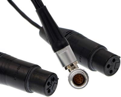 Cina Cavo introdotto di sblocco di XLR audio affinchè Pin dell'angolo retto 10 del registratore del monitor dello shogun di Atomos si raddoppino XLR 3 Pin Female in vendita
