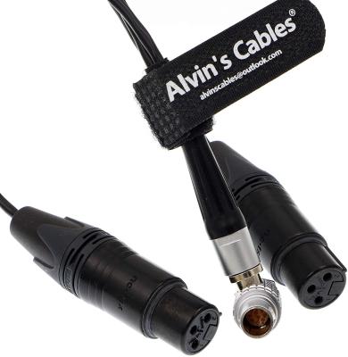 Cina Cavo introdotto di sblocco di XLR audio affinchè Pin dell'angolo retto 10 del registratore del monitor dello shogun di Atomos si raddoppino XLR 3 Pin Female in vendita
