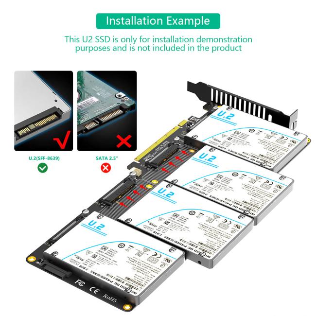 U.2 to PCI-e Riser Adapter with SSDs