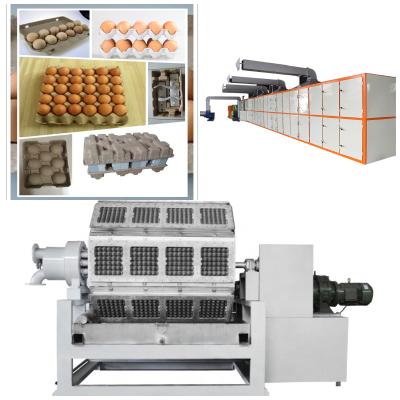 China Various Model Paper Egg Tray Machine Paper Pulp Molding Machine Customized Molds for sale