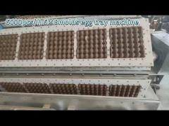 Fully Automatic 5x8 Molds Paper Egg Tray Machine 5000pcs/h