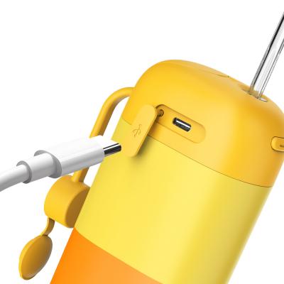 China 200ml FC5170 Mini Cordless Water Flosser, picareta da água do KC para os dentes à venda