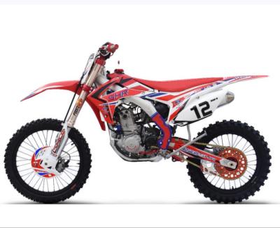 Cina 2019 venduta con motore potente moto da corsa Dirt bike 300cc in vendita