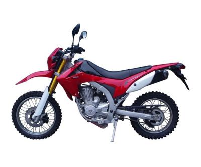 Cina Vendita in vendita al dettaglio economica potente cinese adulto moto di terra elettrica 250cc moto di terra per adulti in vendita