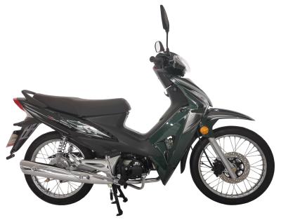 Cina Vendita a caldo in Sud America Motocicletta 4 tempi cucciolo in vendita