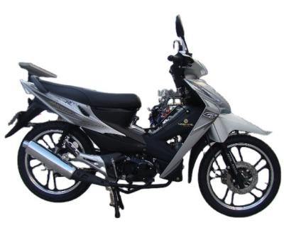 China 2022 Hongli eec ZS novo 100 50cc 110cc novo MOTOR 125cc motocicleta elétrica cub à venda