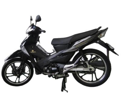 Cina Consegna di benzina Lucky Plus 50cc/110cc/125cc mini CEE Super Lady/Ladies Cub Motorcycle per africani in vendita