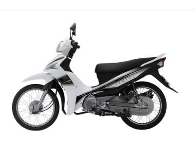 Cina motore Motore economico Nuovo prezzo di fabbrica ingrosso cucciole biciclette ZS Cina moto 110cc 125cc moto moto lifan moto in vendita