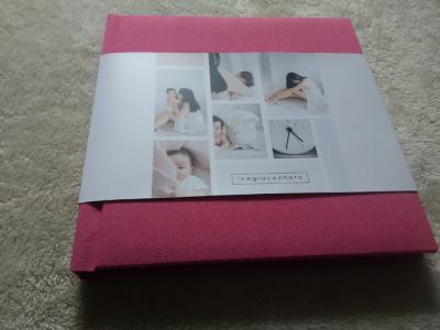 China A tela vermelha cobriu álbuns de fotografias do aniversário para mulheres/bebê 11 x 15 à venda