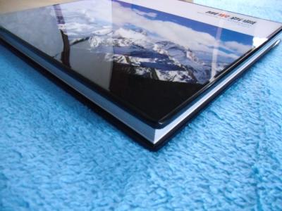 Cina Il professionista ha personalizzato il doppio quadrato a cristallo dell'album di nozze della copertura 10 x 10 in vendita