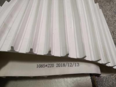 China A correia transportadora do Pvc da gasolina alisa lustroso com teste padrão diferente à venda