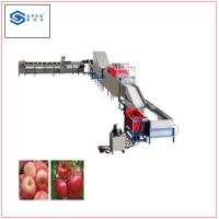 Machine d'évaluation de trieuse de poids de tomate/avocat/orange/Apple et de poids