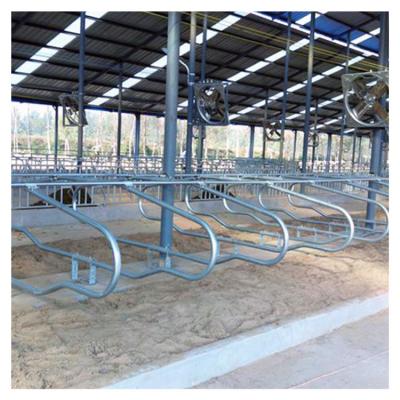 Cina Stalle libere di piegamento ergonomiche del bestiame dell'attrezzatura di azienda agricola della mucca del singolo lato in vendita