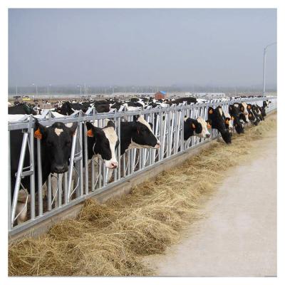 Cina serratura capa della mucca 1.2m/Cow in vendita